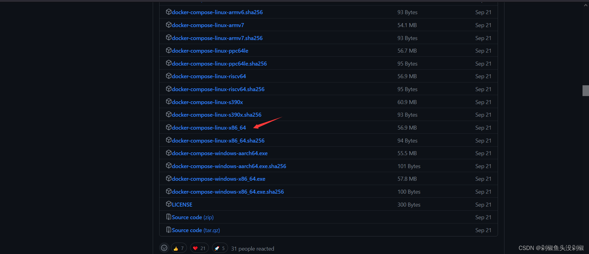 ARL灯塔安装与使用-CSDN博客