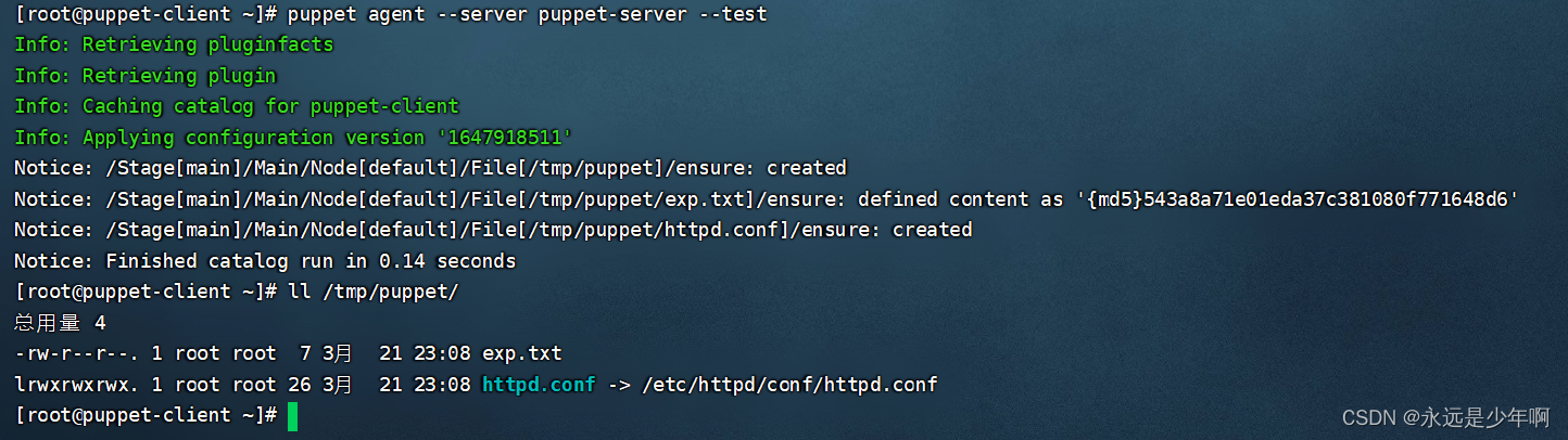 puppet详解（三）——file资源详解_puppet file-CSDN博客