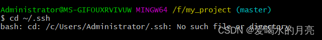 码云gitee配置ssh密钥gitee的ssh在哪配置 Csdn博客 4510