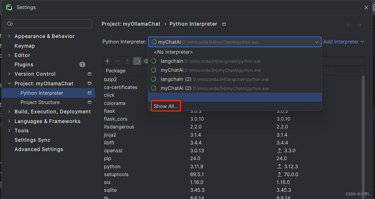 在pycharm中切换Miniconda中创建的环境提示：please specify a different sdk name的解决方案。-CSDN博客