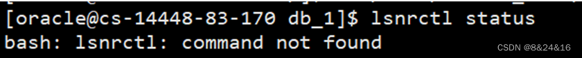 Oracle服务重启踩的坑：ORA-12162：TNS:net service name is incorrectly specified_ora-12162: tns:net service ...