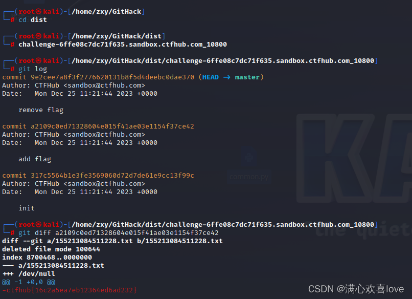 Ctfhub 信息泄露 Git泄露 Logctf Github泄露工具 Csdn博客