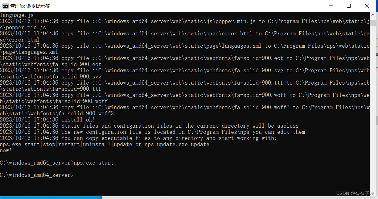 NPS安装与配置指南：跨平台服务端管理,-CSDN博客