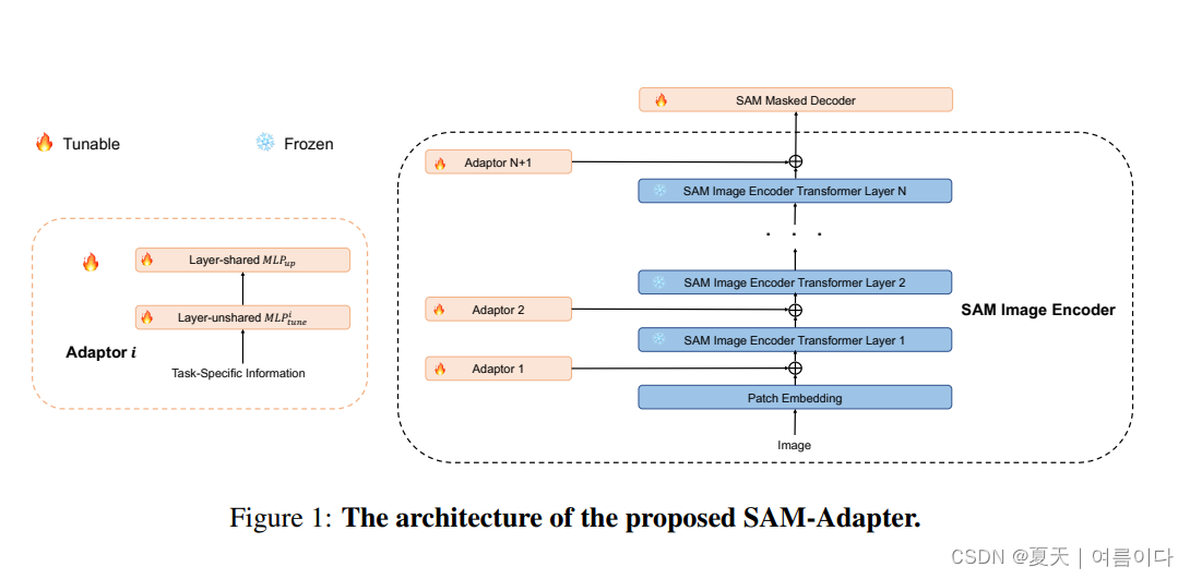 CV | SAM在医学影像上的模型调研【20240223更新版】_medsam 2024-CSDN博客