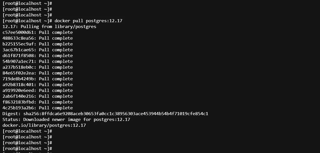 Docker安装PostgreSQL_pgsql docker 下载-CSDN博客