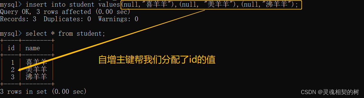 【mysql】五种约束类型 主键和外键的使用方式重点mysql Primary Key怎么使用 Csdn博客