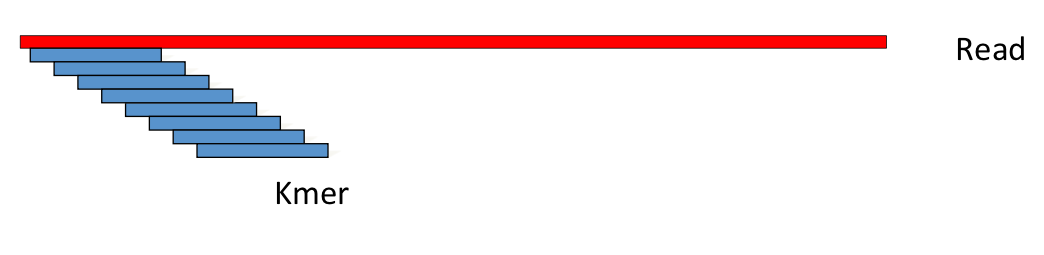 K-mer分析基因组-CSDN博客
