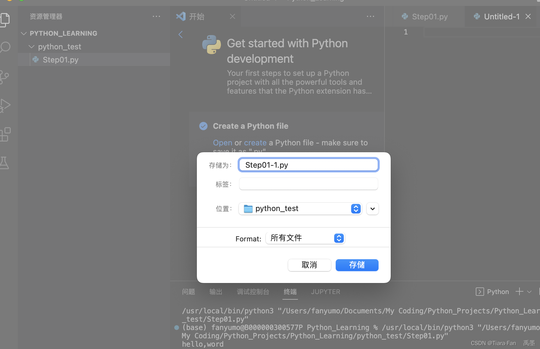 Python初学者使用Visual Studio Code：安装及环境配置_python visual studio code-CSDN博客