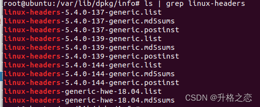 Linux错误记录：dpkg: error:_sudo dpkg -i时报dpkg-deb: 错误:-CSDN博客