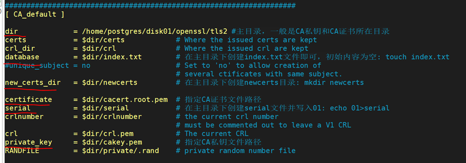 etcd\Patroni\PostgreSQL使用SSL、TLS、HTTPS_patroni etcd-CSDN博客