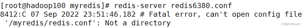 Fatal error, can‘t open config file ‘/myredis/redis.conf‘: No such file or directory_vcs couldn ...