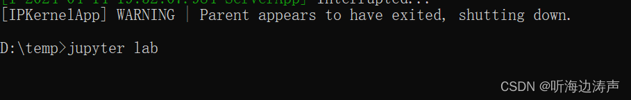 安装、运行JupyterLab_jupyter官网下载及安装-CSDN博客