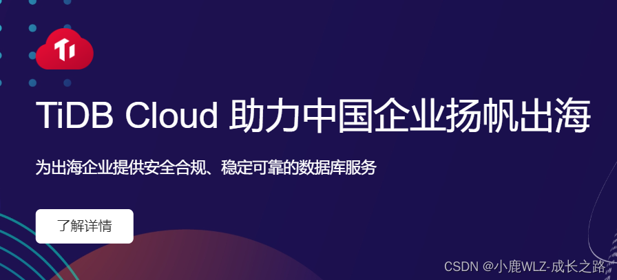 Docker单机部署TiDB数据库-版本TiDB-v6.1.2_docker tidb 6.1-CSDN博客