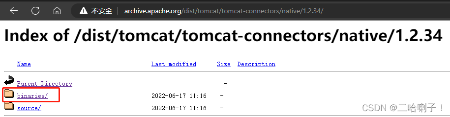 An incompatible version [1.2.23] of the Apache Tomcat Native library is installed-CSDN博客