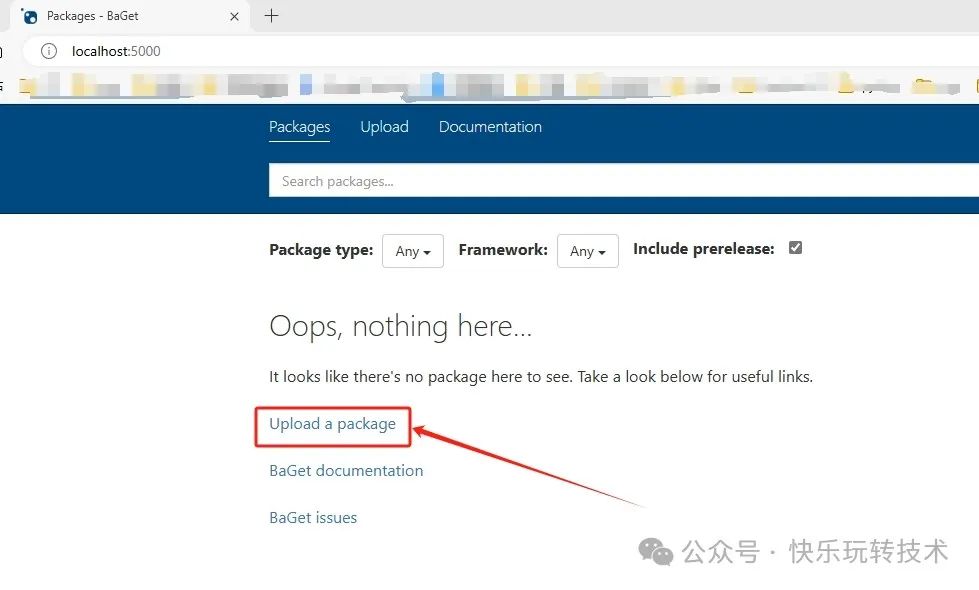 AvaloniaUI项目离线开发全攻略：IDE安装、模板应用与NuGet私有化部署一站式解决...-CSDN博客