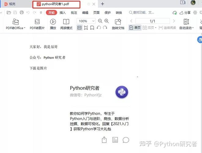 python pdf转word文档怎么转,pythonpdf转word专业级_pythonpdf怎么转换成word-CSDN博客