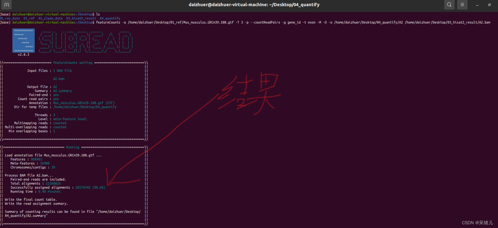 零基础入门转录组上游分析——第五章（表达定量）_--countreadpairs-CSDN博客