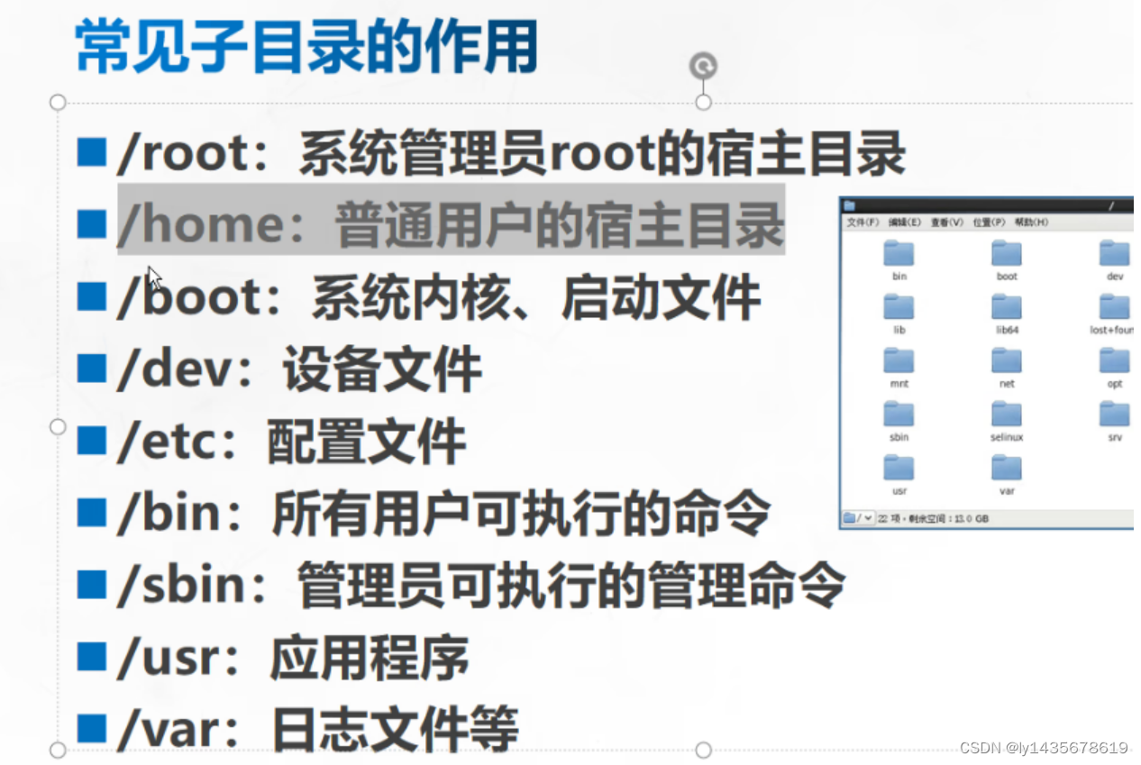 13、linux文件及目录管理_activating service name='org.freedesktop.problems'-CSDN博客