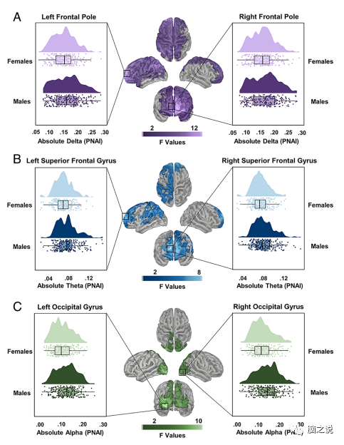 PNAS：从儿童到老年大脑自发皮层动态变化轨迹_年龄与δ波功率下降-CSDN博客