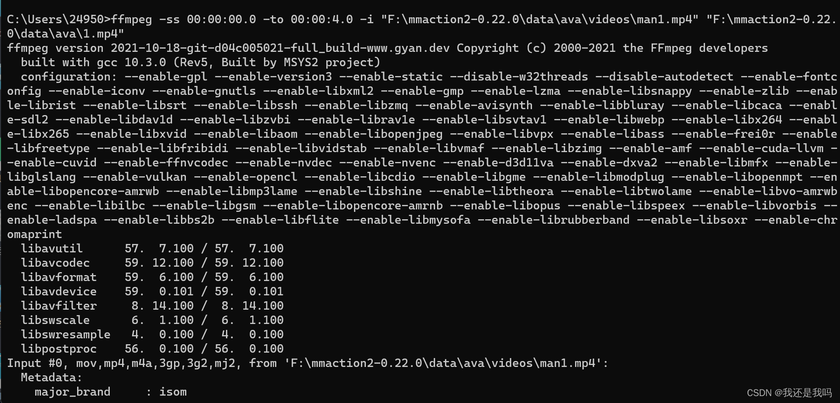 mmaction2自定义ava数据集进行时空动作识别（第二部分）_mmaction2怎么把via导出来的json转换成ava-CSDN博客