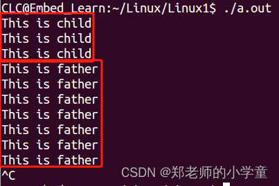 Linux进程——vfork函数-CSDN博客