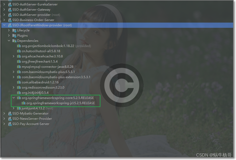 Druid连接池与Mybatis-Plus非Spring环境整合:报错异常:NoClassDefFoundError_com.baomidou.mybatisplus.core.toolkit ...