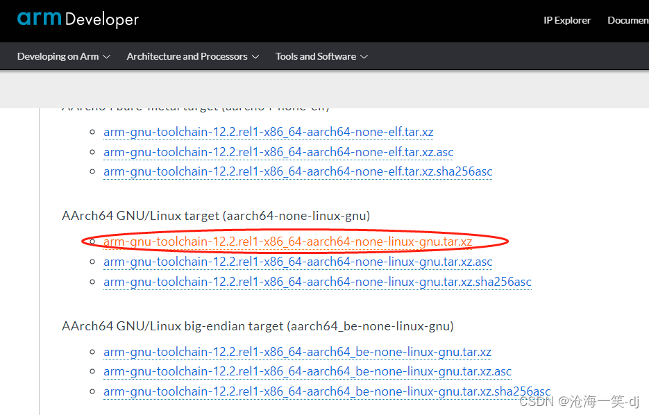 【RK3399】交叉编译器下载和安装_rk3399交叉编译工具链-CSDN博客