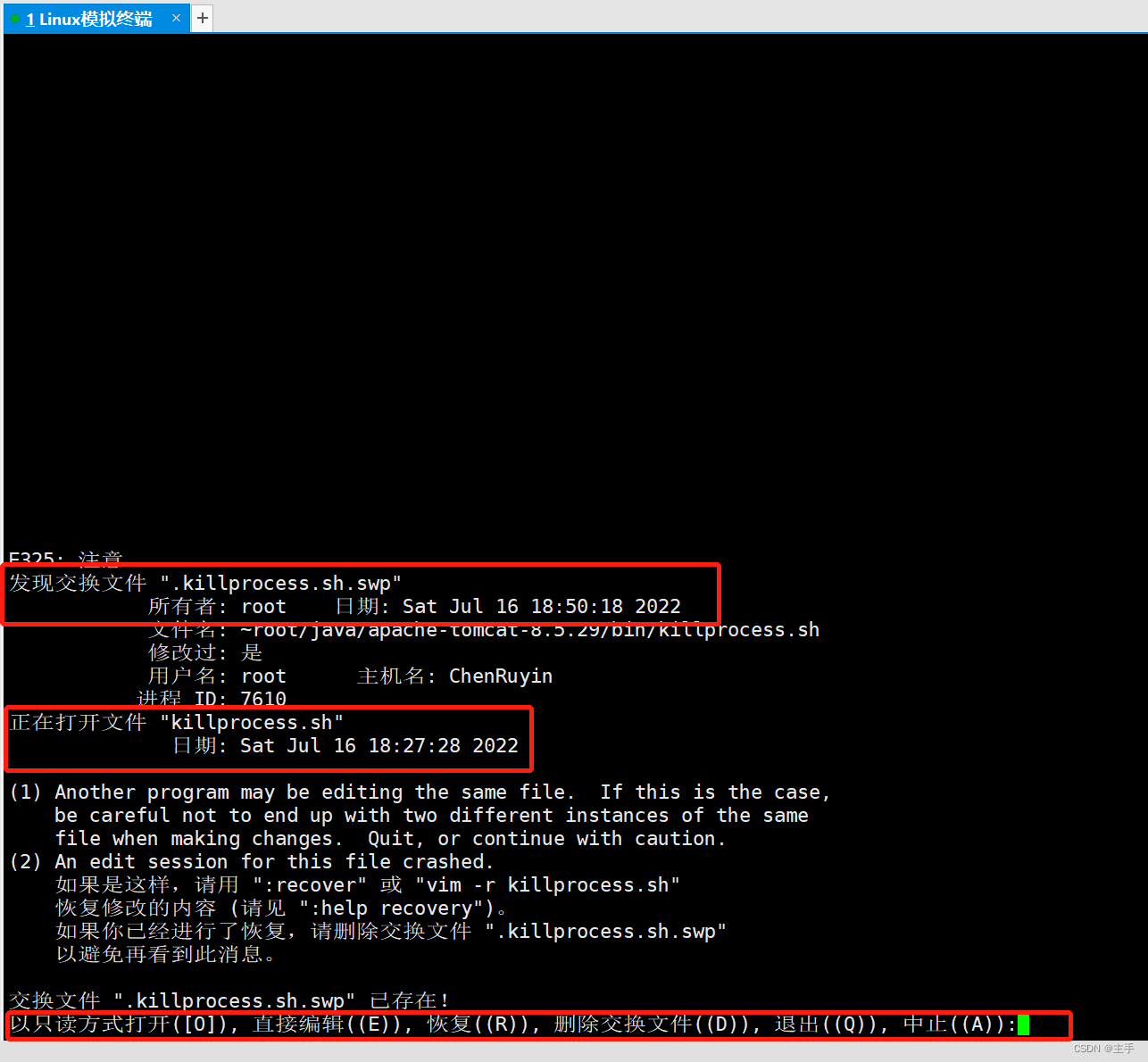 Linux E325: 注意 发现交换文件 “*.swp“_发现交换文件swp-CSDN博客