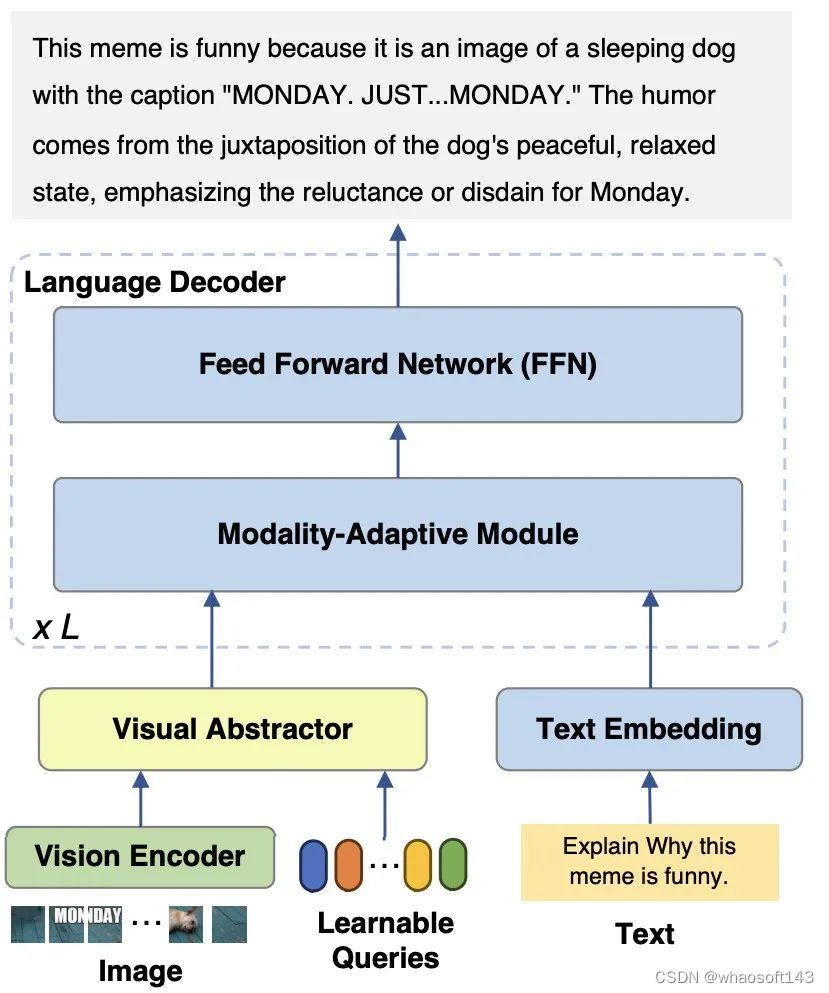 mPLUG-Owl2:多模态大模型的协同进化与性能提升-CSDN博客