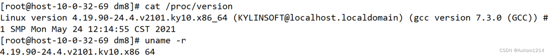 ky.v10 x86系统安装达梦数据库_ky10系统-CSDN博客