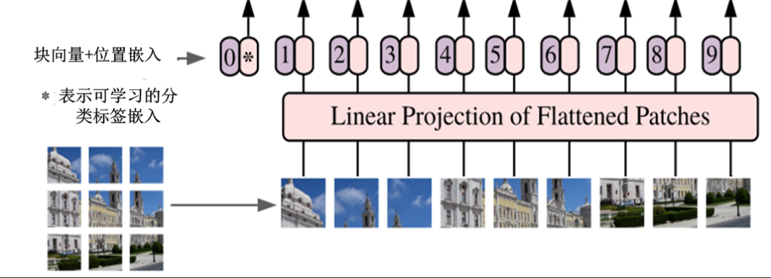 python之使用ViT进行图像分类_基于vit的cifar10图像分类-CSDN博客