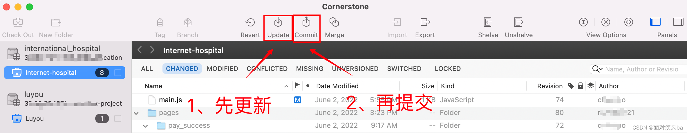 Mac使用cornerstone的操作使用和问题记录及不同图标的含义，持续更新..._mac cornerstone-CSDN博客