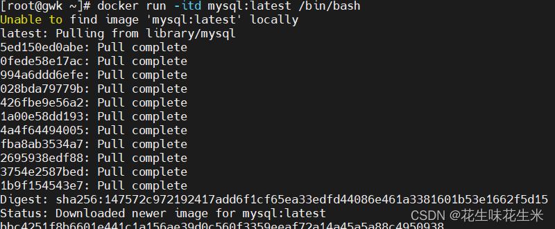 docker安装与镜像基本操作_docker 安装镜像-CSDN博客