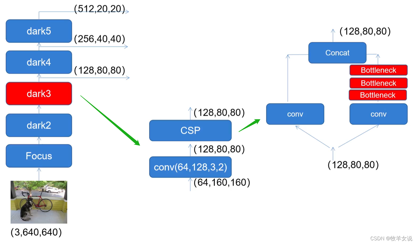YOLOX backbone——CSPDarknet的实现-CSDN博客