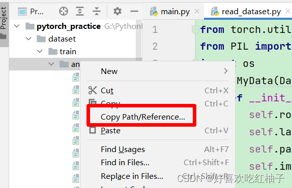 pytorch初学笔记（一）：如何加载数据和Dataset实战_python dataset-CSDN博客