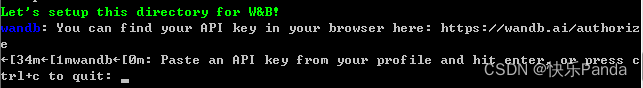 wandb.errors.UsageError: api_key not configured (no-tty). call wandb.login(key=[your_api_key ...