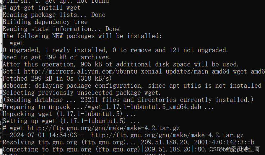 13集踩坑必看！如何更改docker 默认make Pip Python版本 《mcu嵌入式ai开发笔记》docker 修改默认python版本 Csdn博客