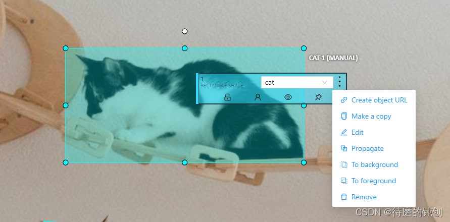 1.2.CVAT标注界面介绍_cvat标注工具-CSDN博客