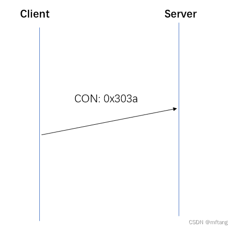 概述CoAP协议-CSDN博客