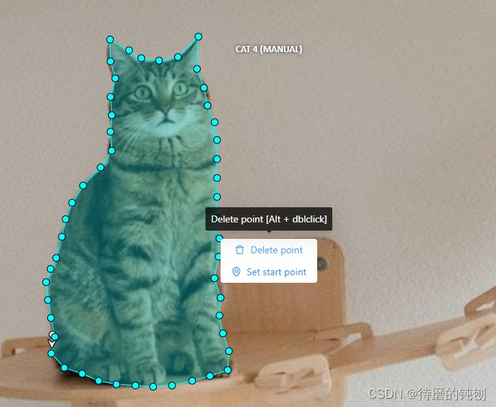 1.2.CVAT标注界面介绍_cvat标注工具-CSDN博客