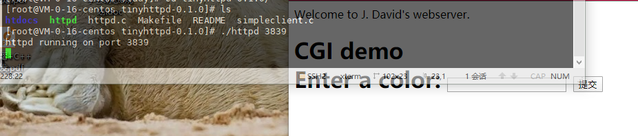 tinyhttpd源码解析-CSDN博客