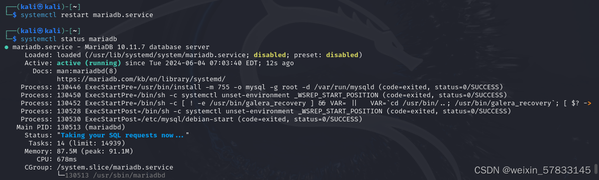 Kali启动mysql报错：Job for mariadb.service failed because the control process exited with error-CSDN博客