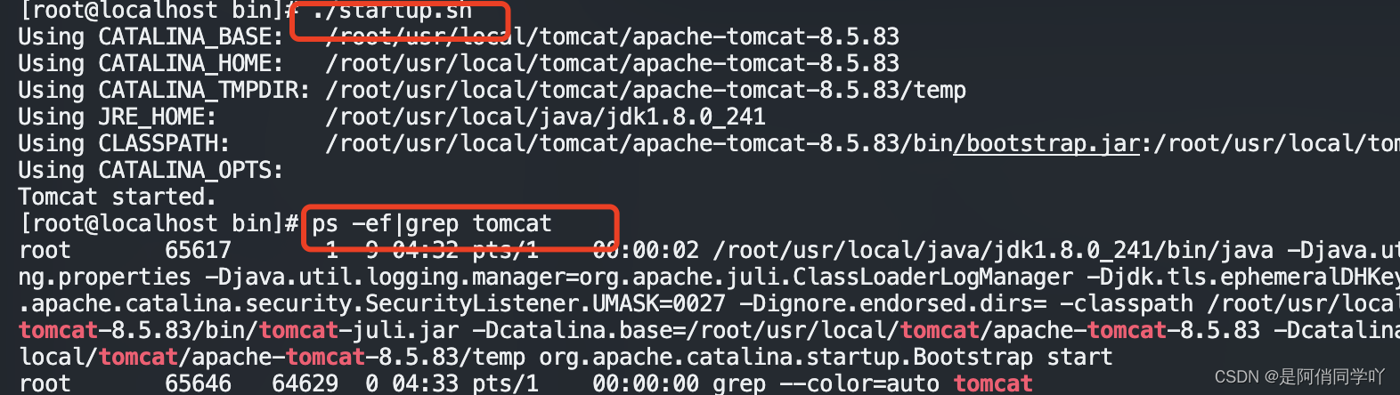 Linux集成环境部署tomcat+redis_tomcat配置redis-CSDN博客