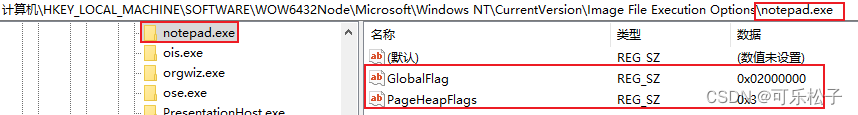 堆（heap）系列_0x06：NT全局标志和gflags.exe一页纸-CSDN博客