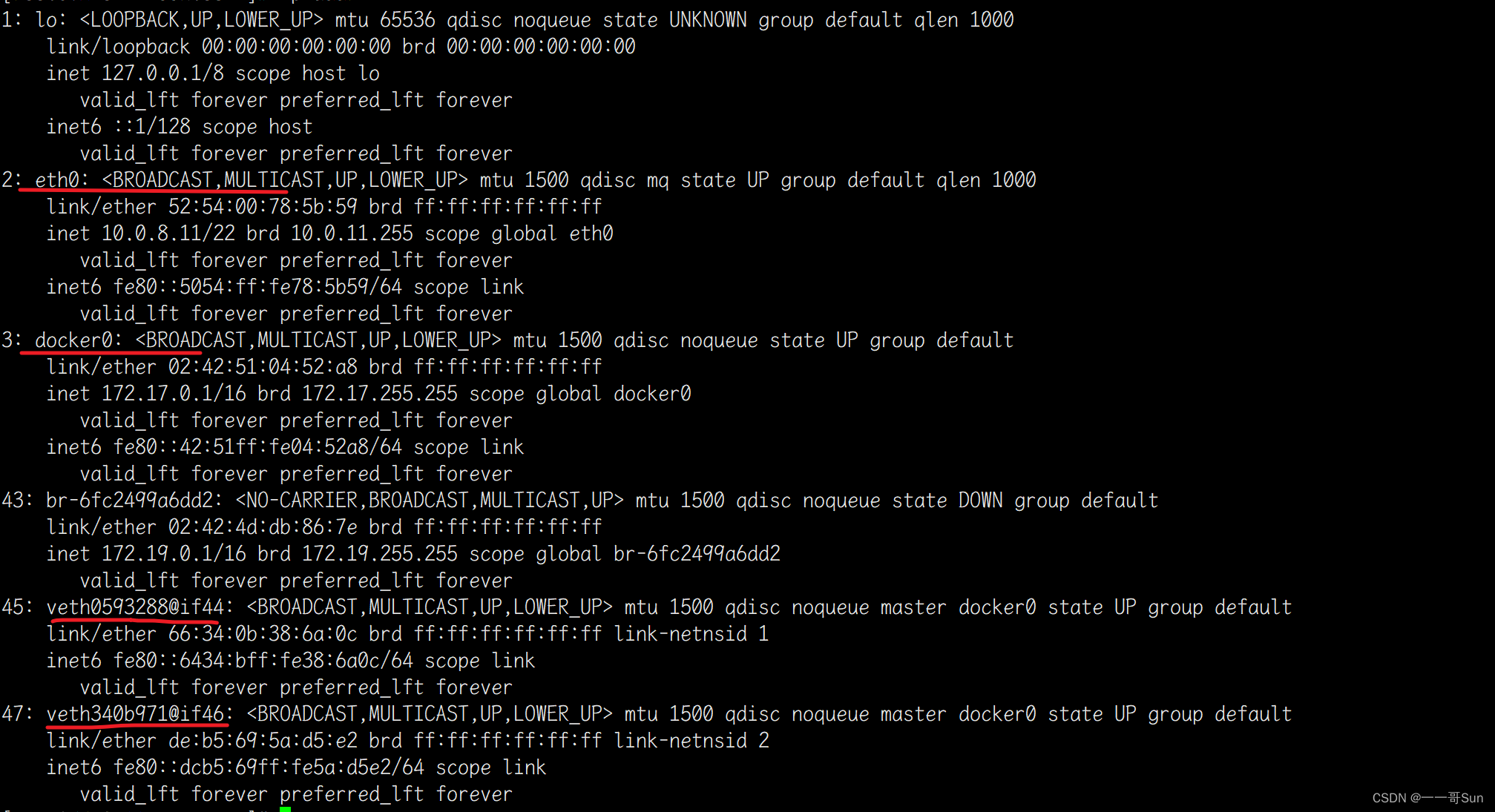 如何配置Docker网络的Bridge模式？看这里_thunderbolt bridge docker-CSDN博客