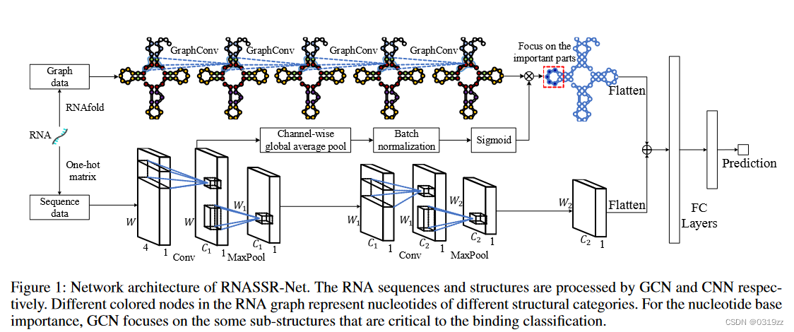 RNA Secondary Structure Representation Network for RNA-proteins Binding ...