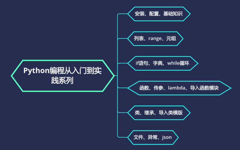 Python编程从入门到精通python编程教学入门教程 Csdn博客