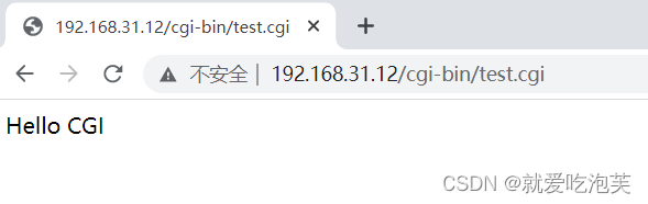 CGI接口详解：从概念到C语言实现-CSDN博客