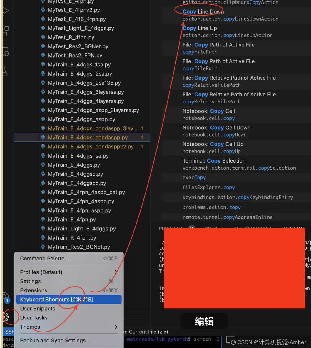 Pycharm VSCode快捷键设置 Duplicate CopyLine Down_vscode没有duplicate-CSDN博客